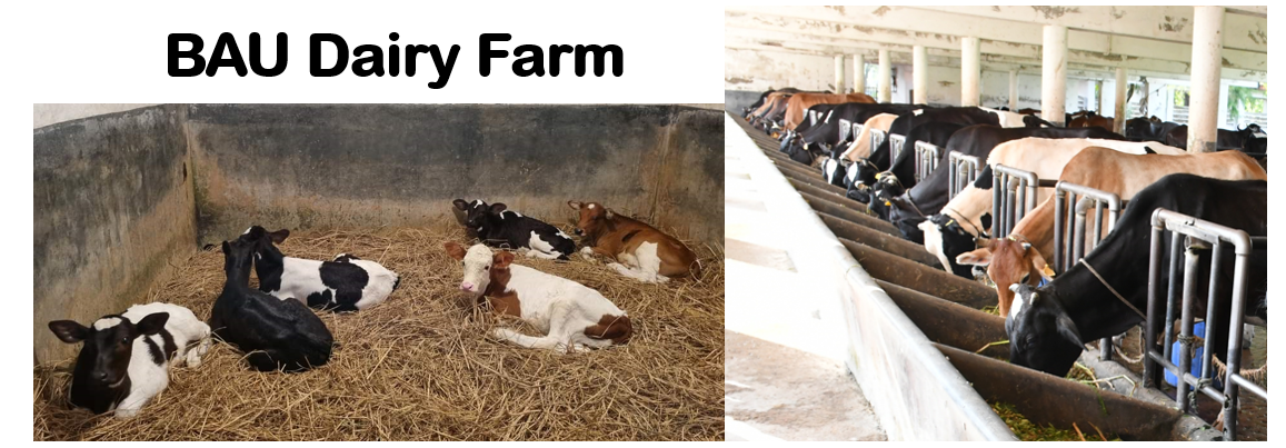 Bangladesh Agricultural University (BAU)